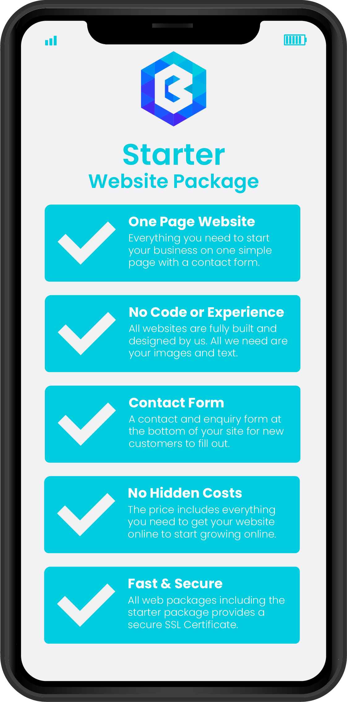 Starter Website – Bluewing Web Leasing